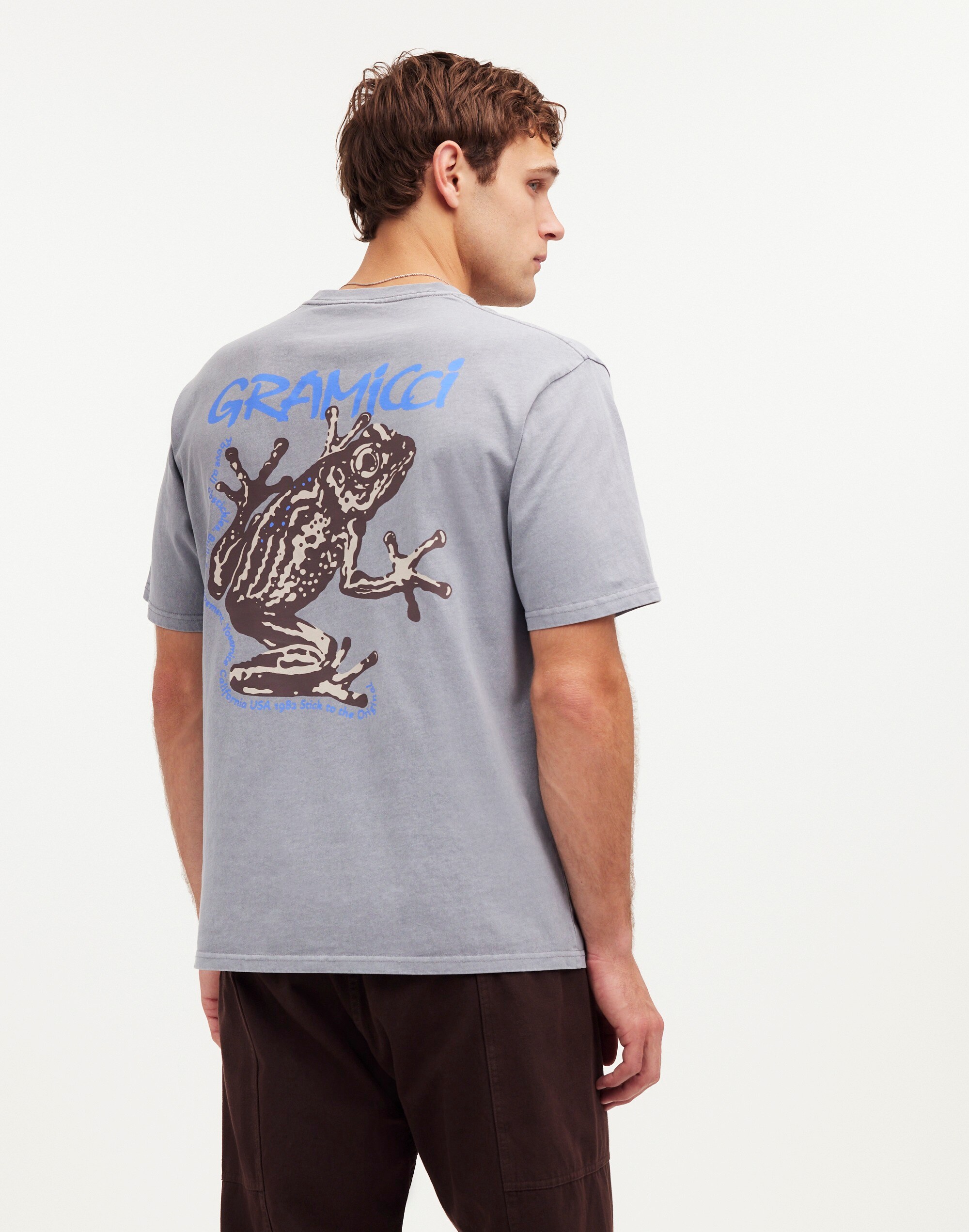 Gramicci® Sticky Frog Graphic Tee | Madewell