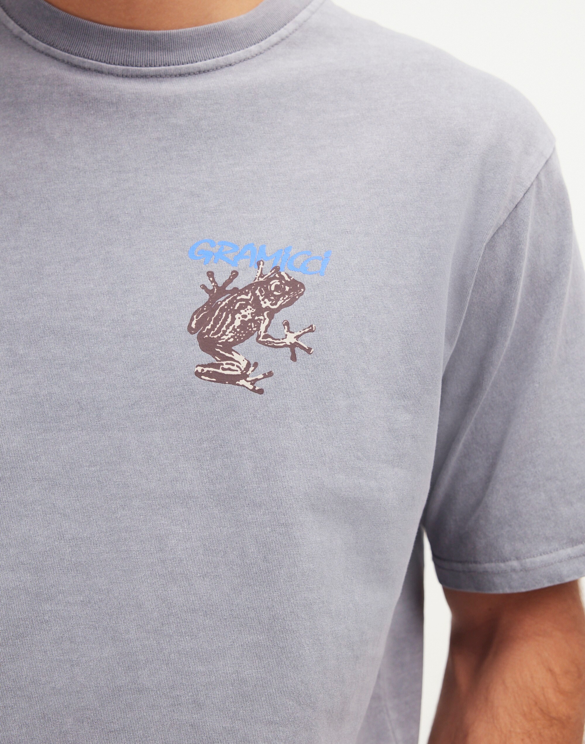 Gramicci® Sticky Frog Graphic Tee | Madewell