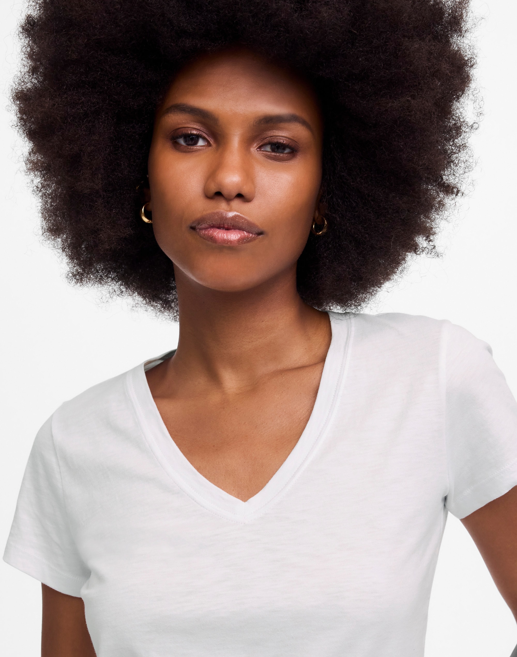 Slub Perfect V-Neck Tee | Madewell